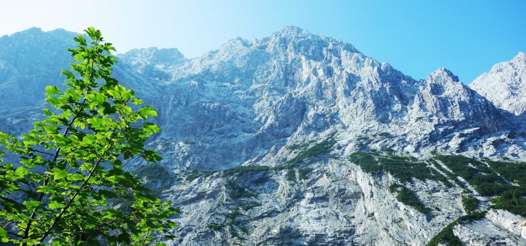 Hochwanner Nordwand - Die Bergführer - mit uns die Alpen erleben